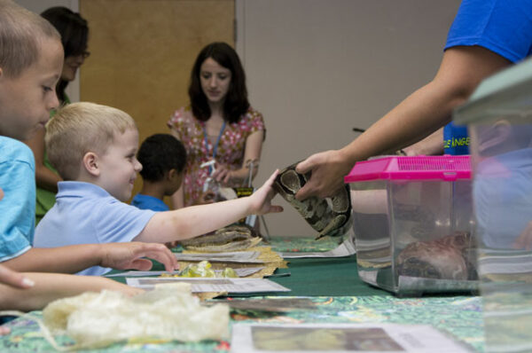 Start summer reading, exploring at Prince William Public Library