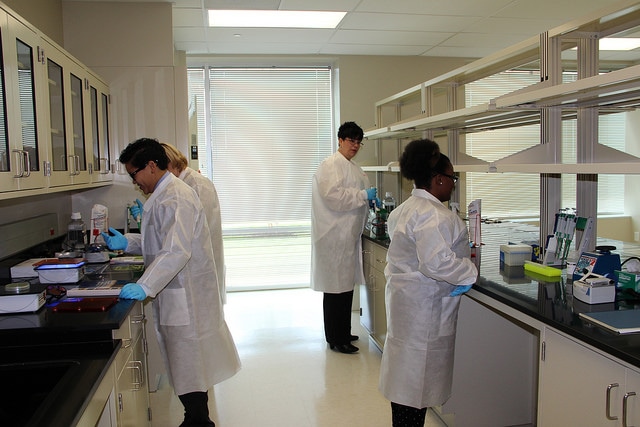 Prince William firm develops urine-based test to detect Lyme disease