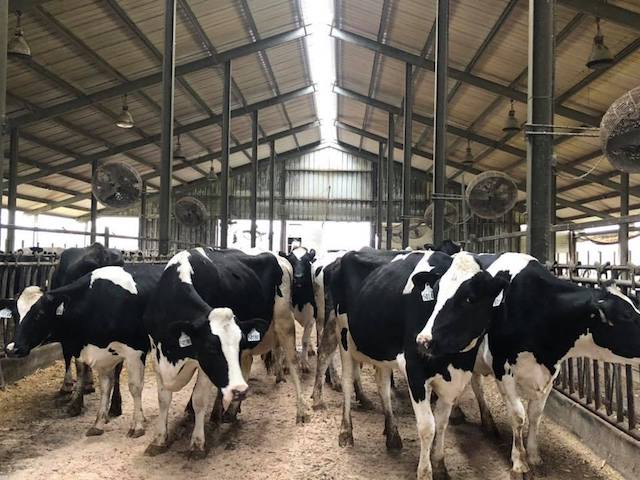 Prince William farm honored for work to protect Potomac River