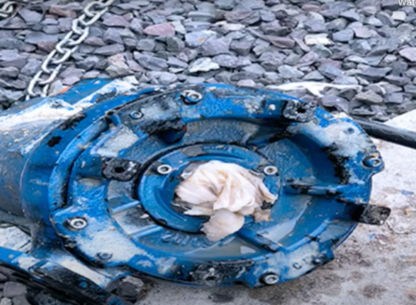 Save your pipes: the 3 P's of flushing