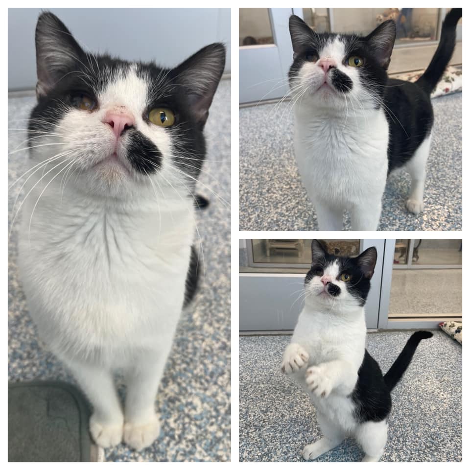 George still doesn’t have a family after almost 6 long months