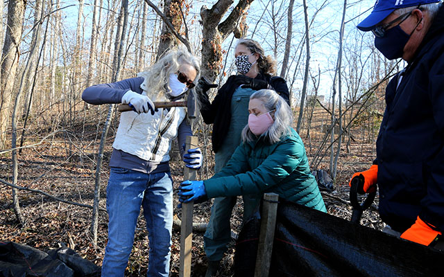 Traps set for salamanders as county studies habitats