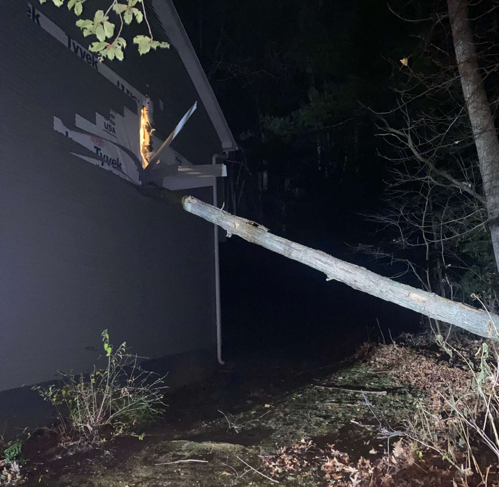 Dead oak falls into a house, rescue crews called to the scene