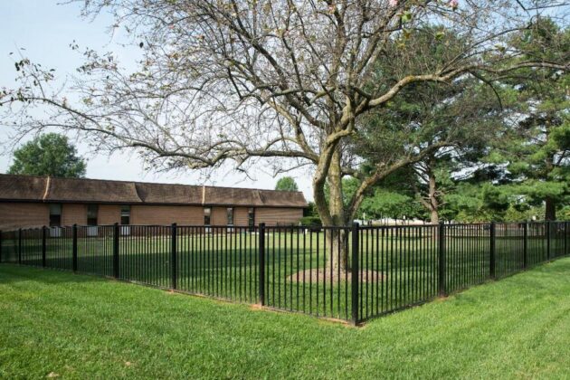 Outdoor library space allows for exploration of nature, conservation ...