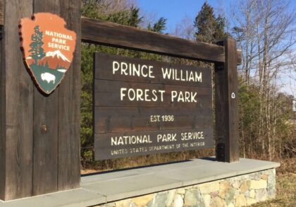 Free Flag Day Entry at Prince William Forest Park
