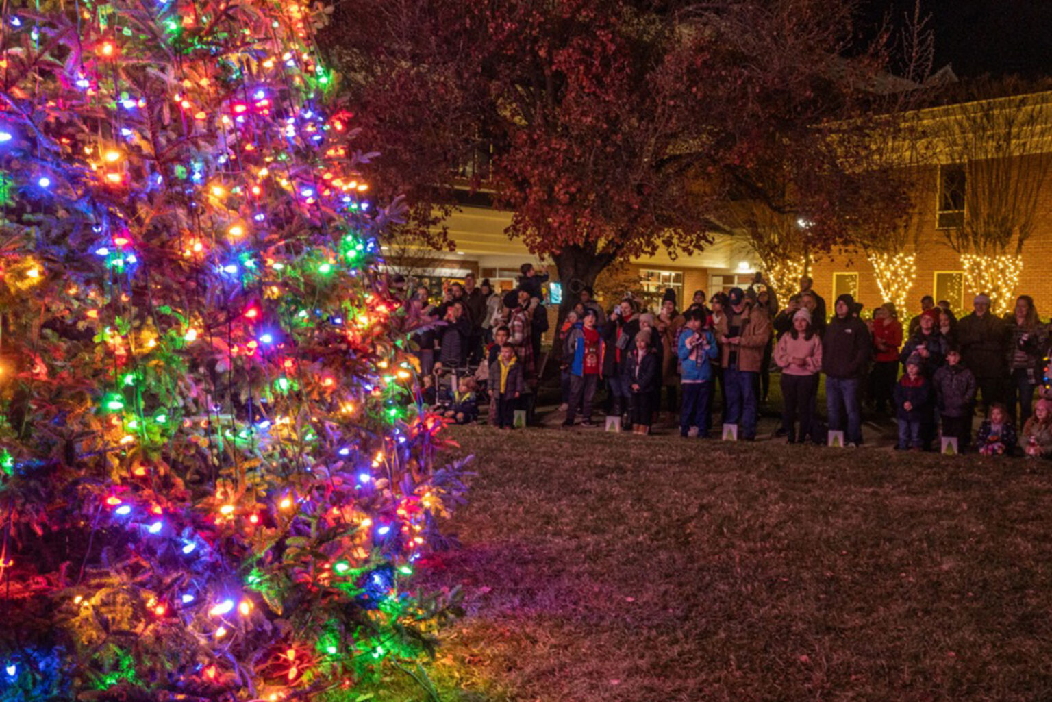 Stafford County Tree Lighting Extravaganza - Unwrap the Magic ...