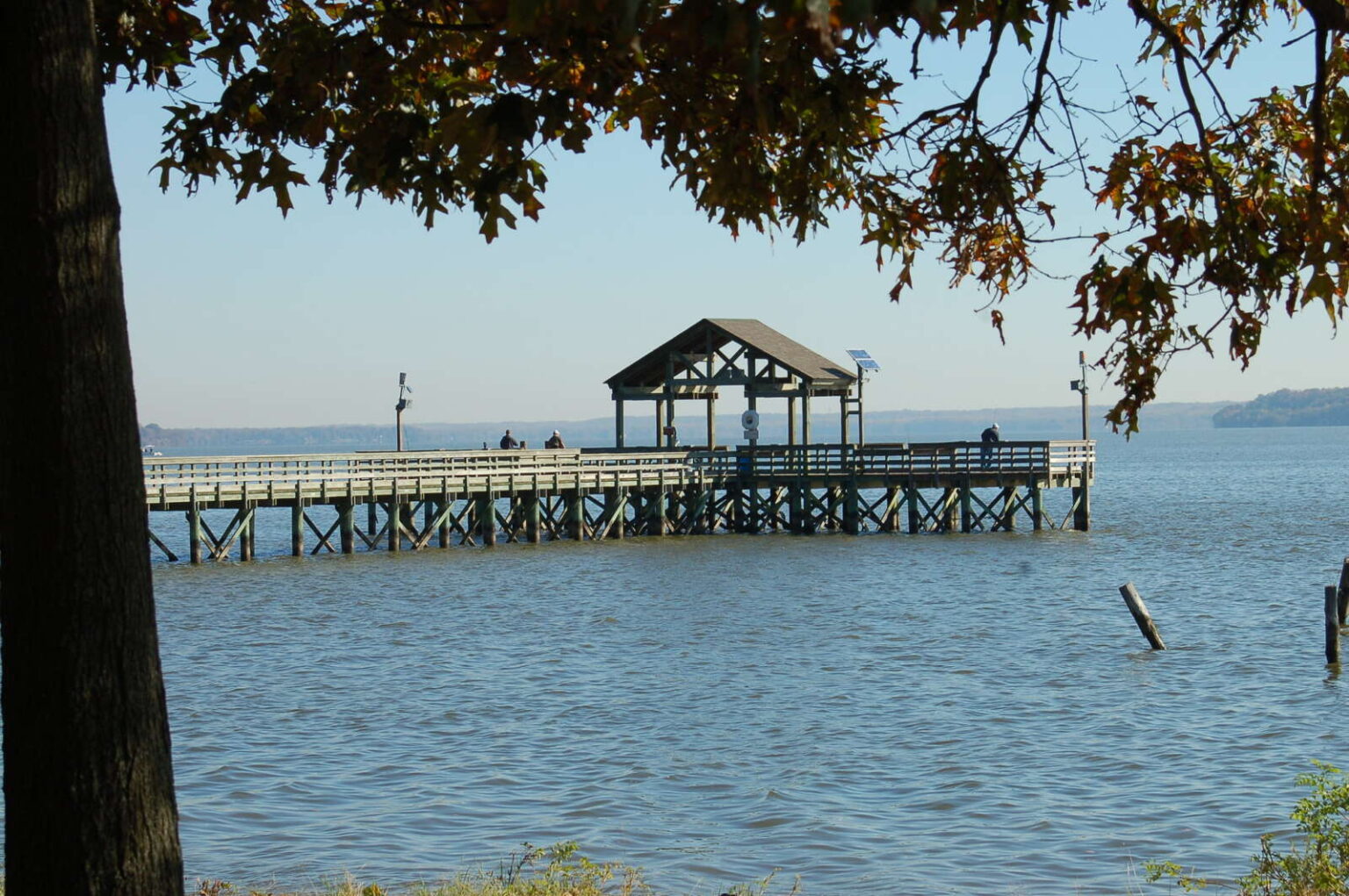 Frigid January Causes Significant Damage at Leesylvania State Park ...