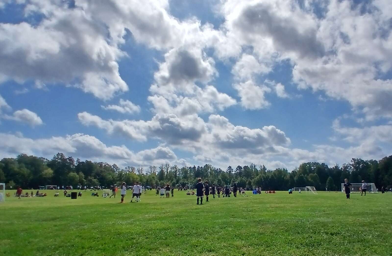 Saturday Snapshot: Scenes in Stafford - Potomac Local News