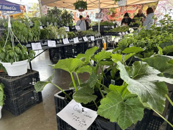 The Five Things You Need to Know About This Year’s Manassas Farmers Market