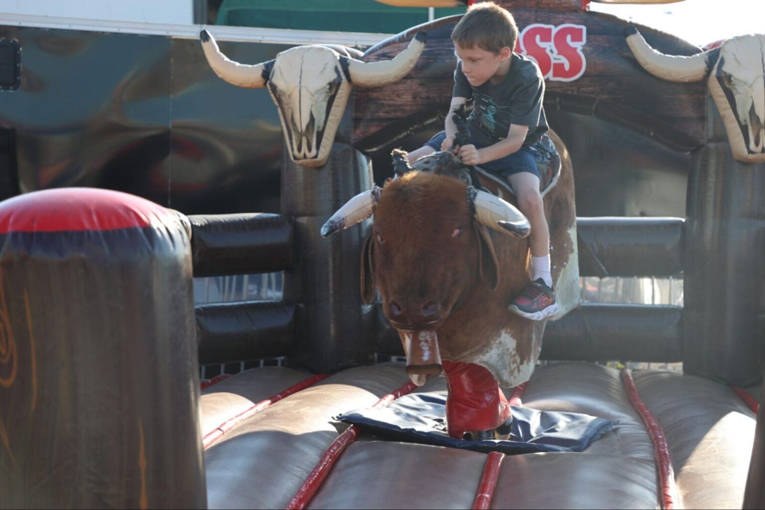 Prince William County Fair Draws Crowds for Annual Summer Tradition