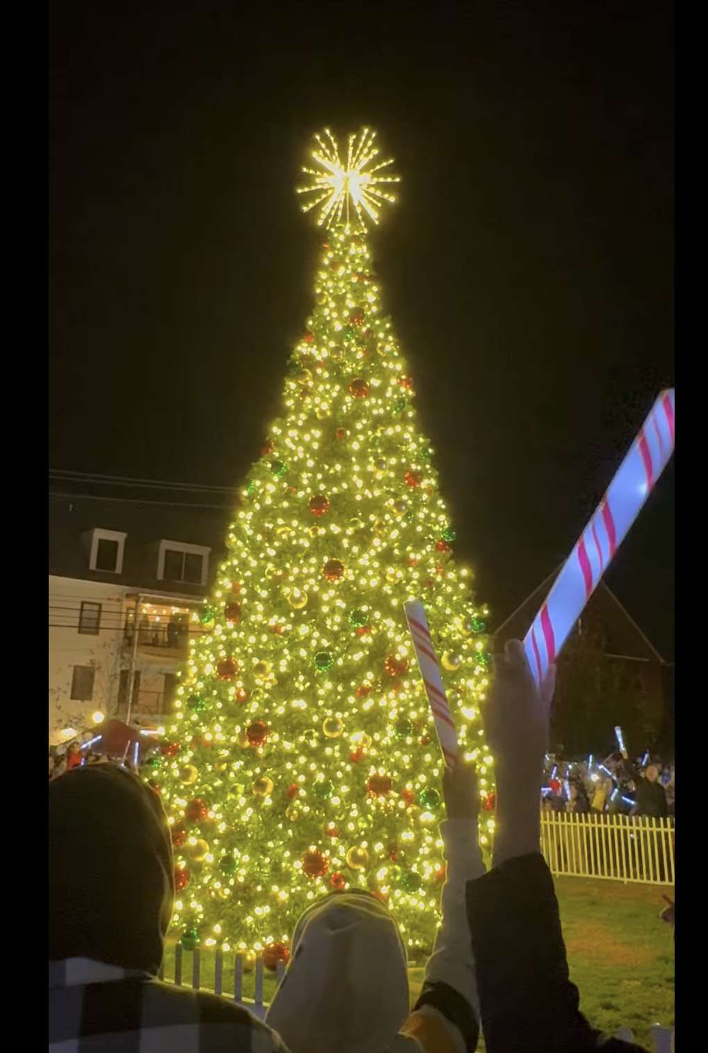 Fredericksburg lights its Christmas Tree